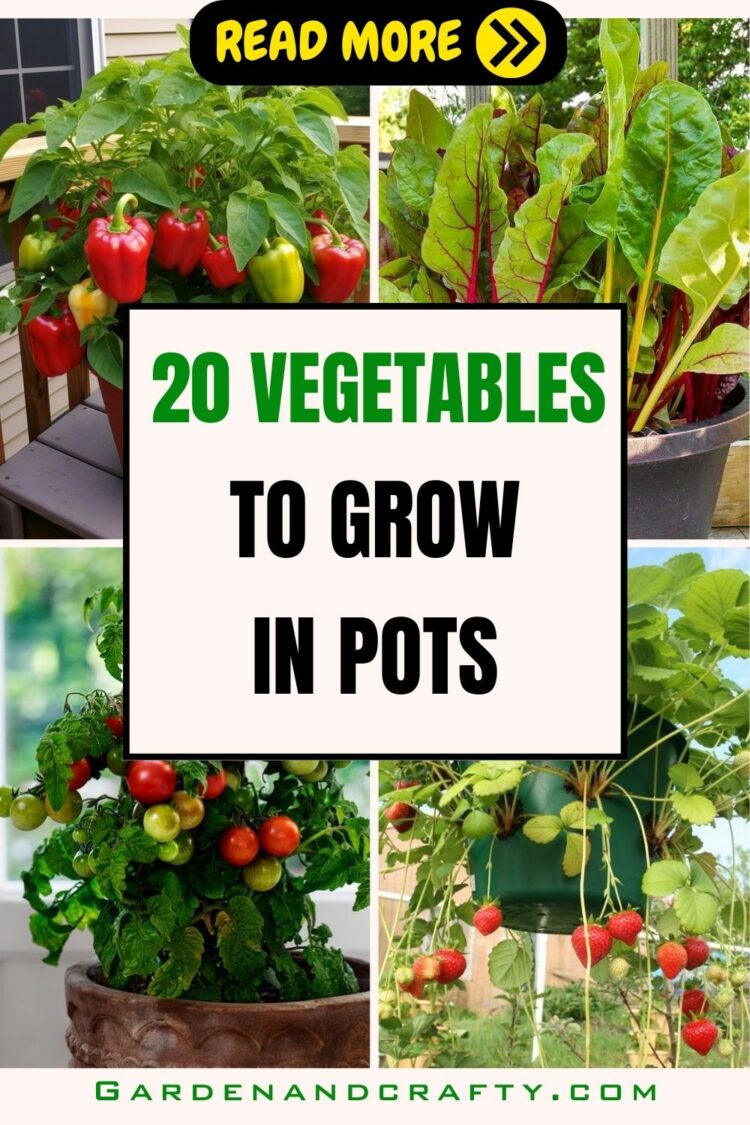20 Best Vegetables To Grow In Pots For A Year-Round Supply Of Fresh Produce