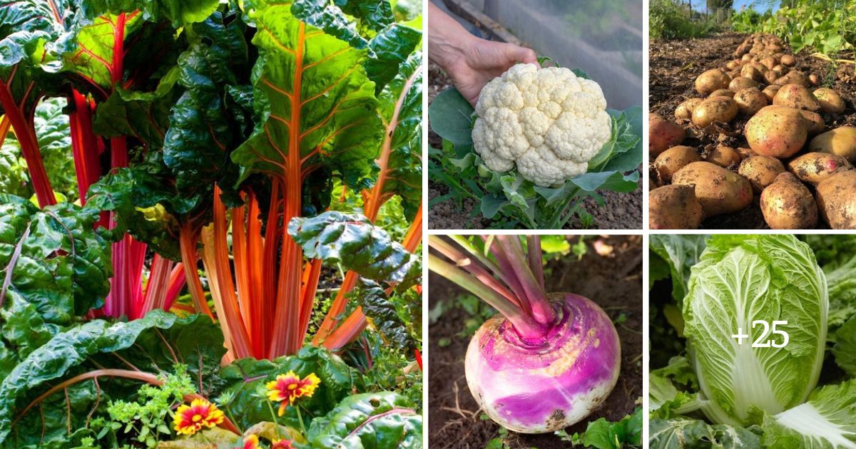 30 Fall Vegetables To Plant In Your Garden For A Flavorful Winter