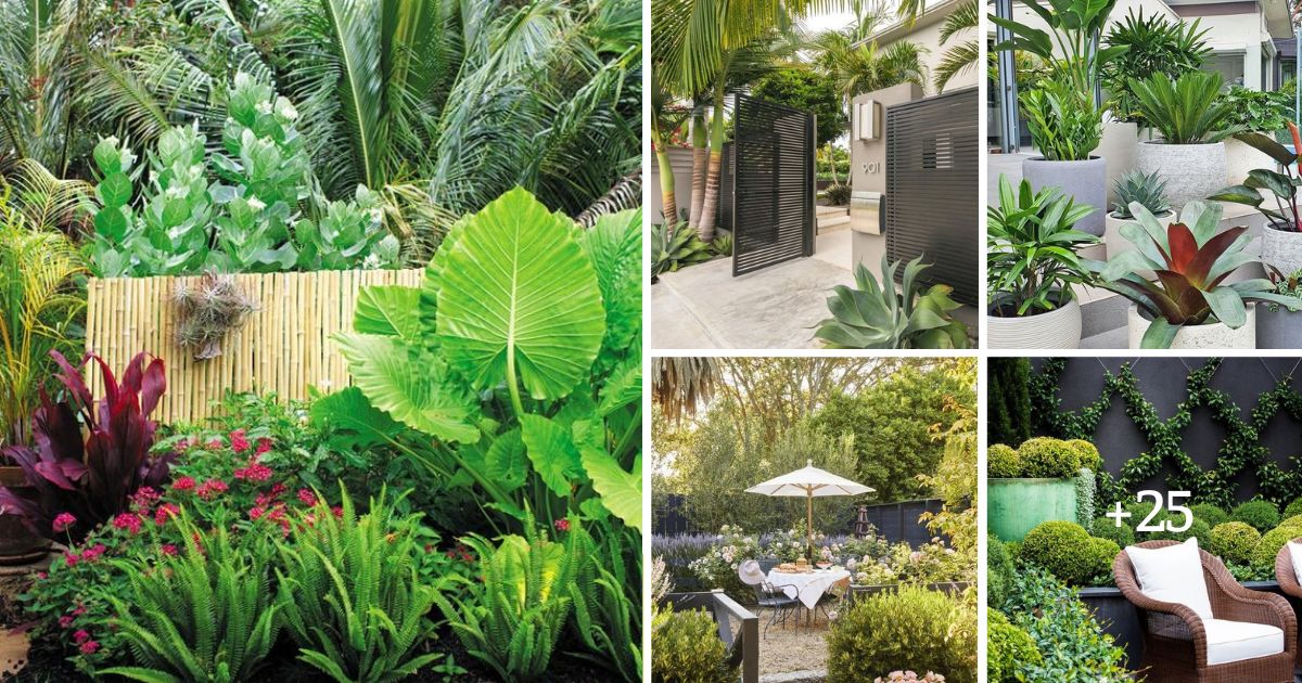 30 Stunning Front Yard Ideas To Wow Your Neighbors And Guests