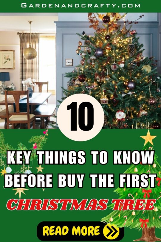10 Key Things To Know Before Buying The First Christmas Tree