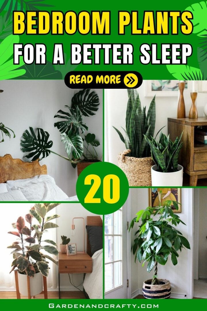 20 Amazing Bedroom Plants That Can Help You Sleep Like A Baby