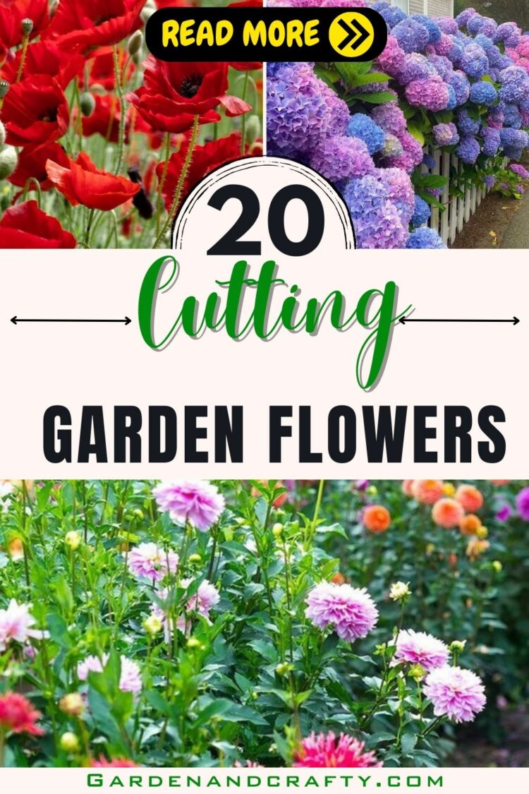 20 Cutting Garden Flowers You Can Easily Grow In Your Backyard