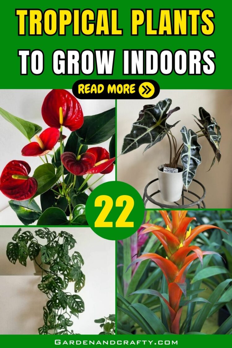 22 Tropical Plants That Will Transform Your Space Into A Paradise