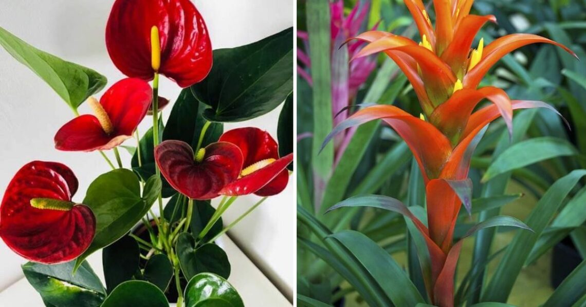 22 Tropical Plants That Will Transform Your Space Into A Paradise