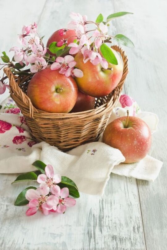 20 Edible Flowers To Brighten Up Your Meals And Drinks