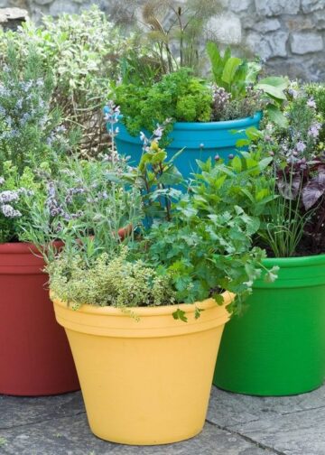 30 Herb Garden Ideas For Small Spaces And Big Flavors