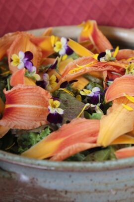 20 Edible Flowers To Brighten Up Your Meals And Drinks