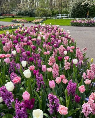 25 Most Fragrant Flowers That Will Fill Your Garden With Sweet And ...