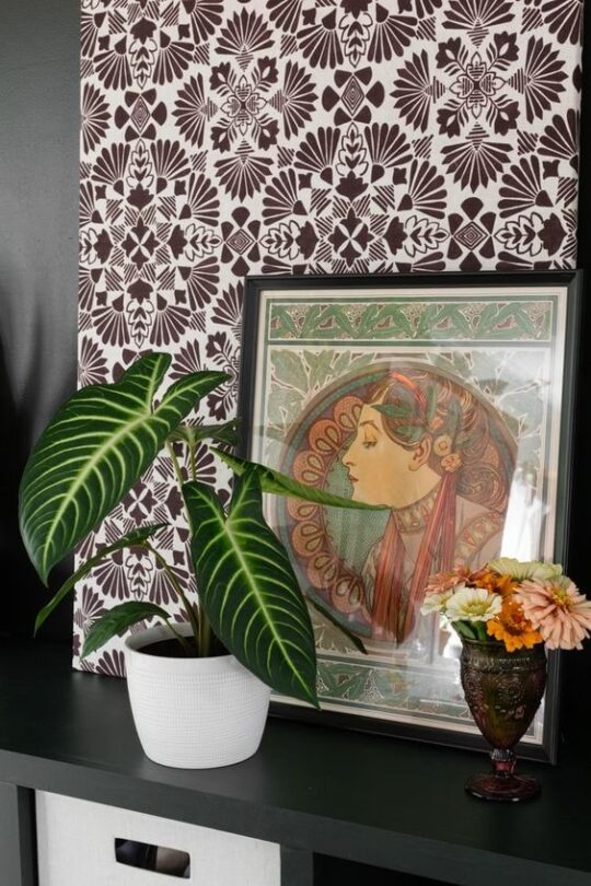 20 Aesthetic Plants To Beautify Your Home And Office