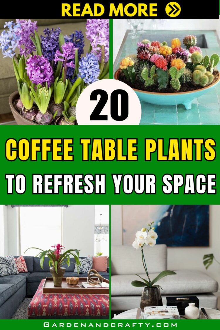 20 Coffee Table Plants That Are Low-Maintenance And High-Impact