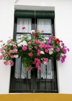 40 Window Box Ideas To Boost Your Home’s Curb Appeal
