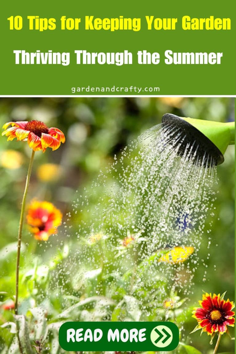 10 Tips for Keeping Your Garden Thriving Through the Summer