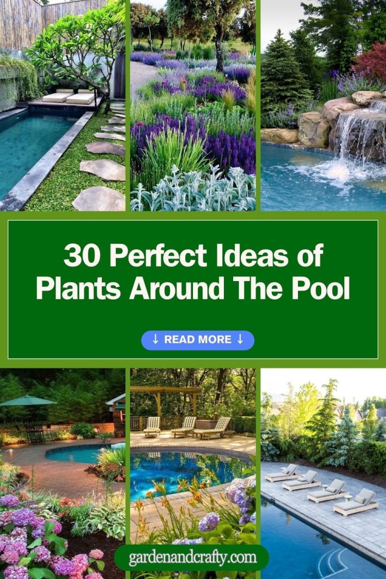 30 Perfect Ideas of Plants Around The Pool