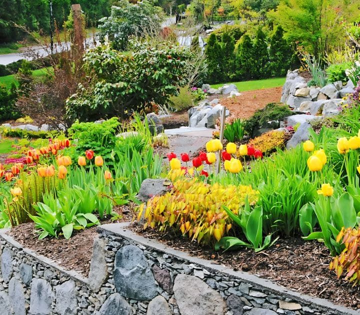 6 Tips for Maximizing Space in Your Small Garden