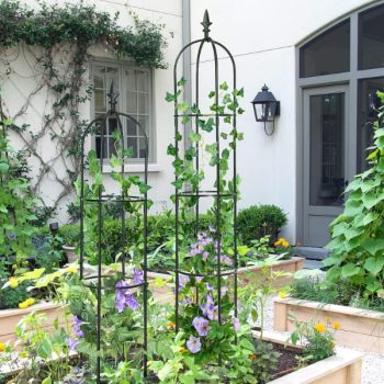 Top 30 Best Clematis Trellis Ideas for A Beautiful Garden