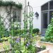 Top 30 Best Clematis Trellis Ideas for A Beautiful Garden