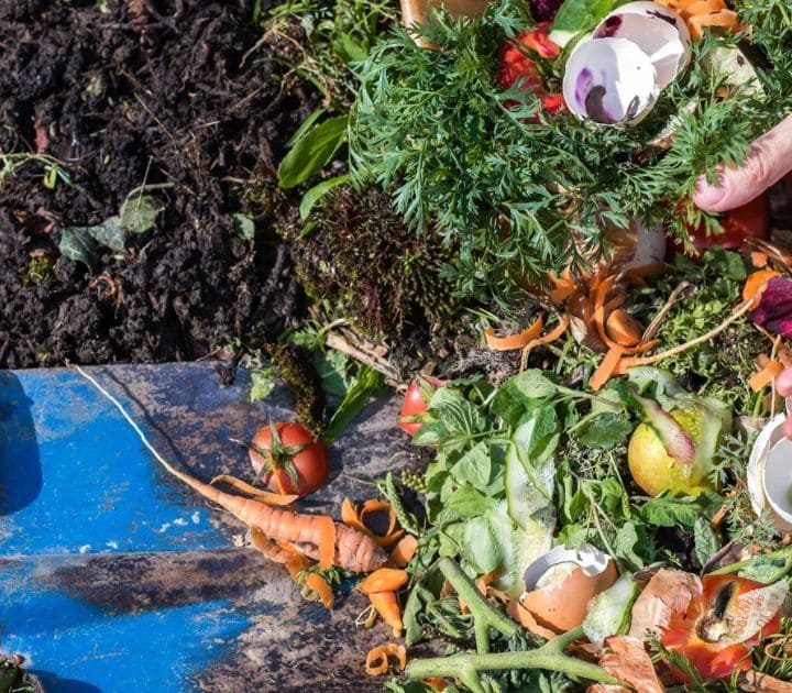 Improving Soil Health with Home Compost