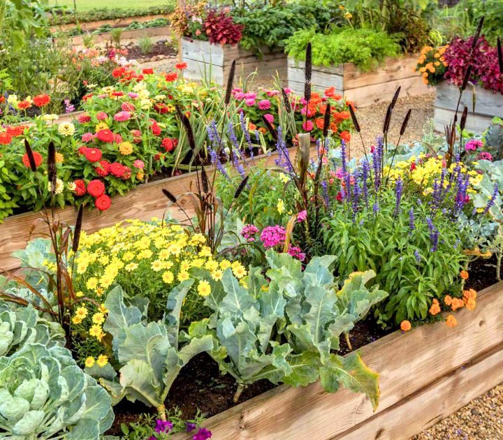 How to Start a Garden from Scratch: 3 Key Factors