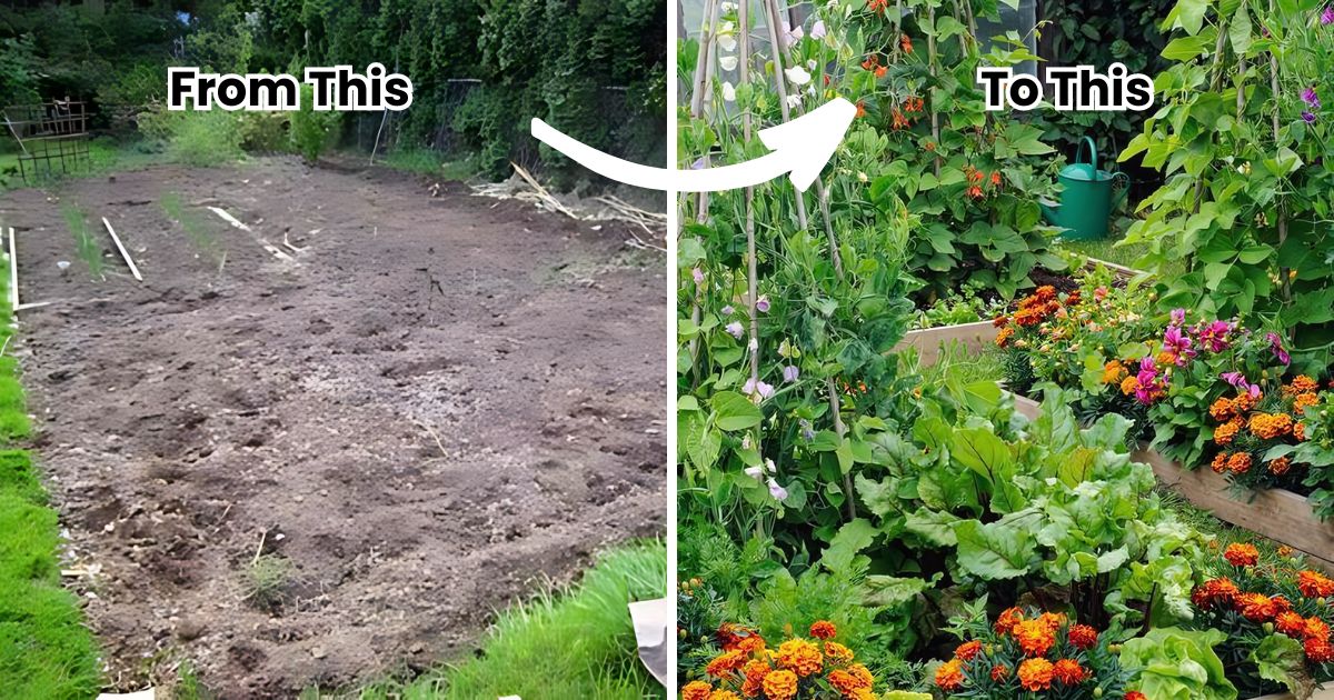 How to Start a Garden from Scratch: 3 Key Factors