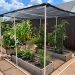 10 Tips for Keeping Your Garden Thriving Through the Summer