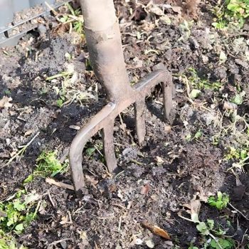 Improving Soil Health with Home Compost