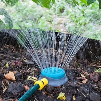 Improving Soil Health with Home Compost