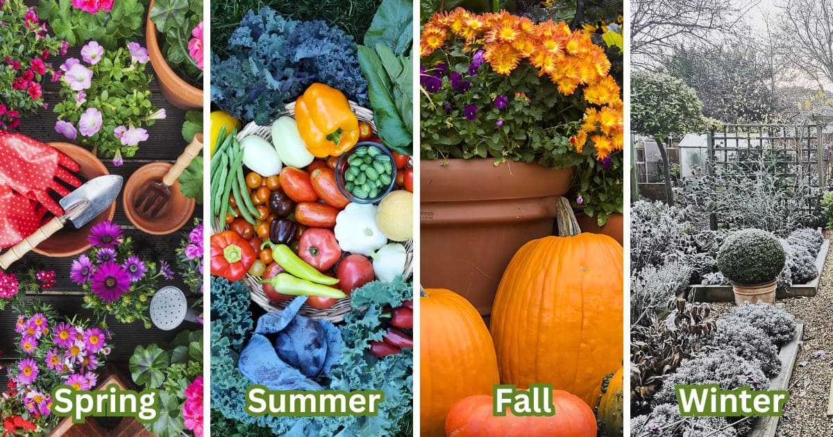 Year-Round Gardening: What to Plant in Each Season