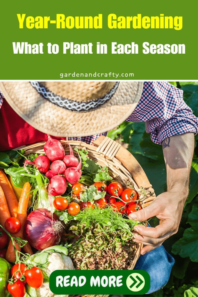 Year-Round Gardening: What to Plant in Each Season