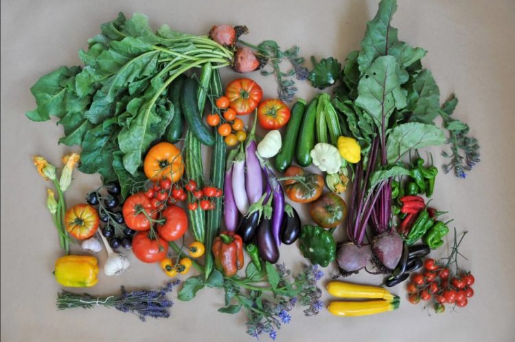 Year-Round Gardening: What to Plant in Each Season - Garden, DIY, Home ...