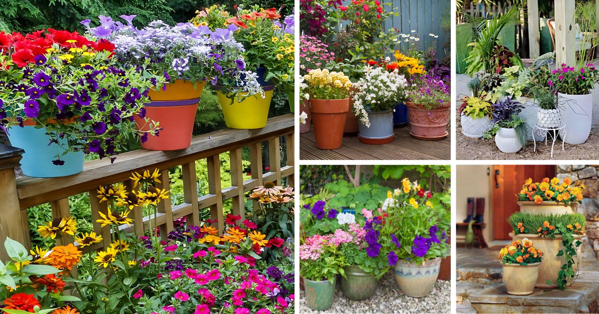 10 Tips for Successful Container Gardening
