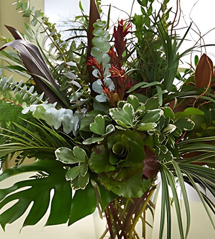 Top 20 Best Foliages For Flower Arrangements