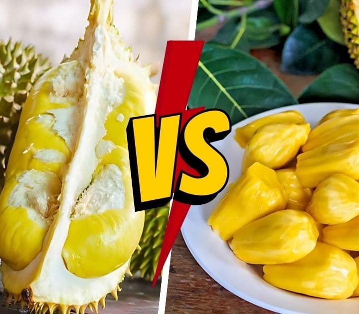 Durian vs Jackfruit: What is The Difference?