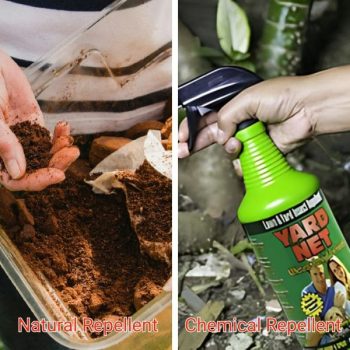 Frogs Control: 12 Tips to Get Rid of Frogs Effectively