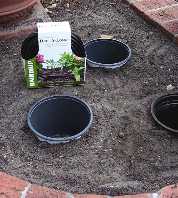 What Is Planting Pots in Pots? Here’s Why You Should Try This Technique