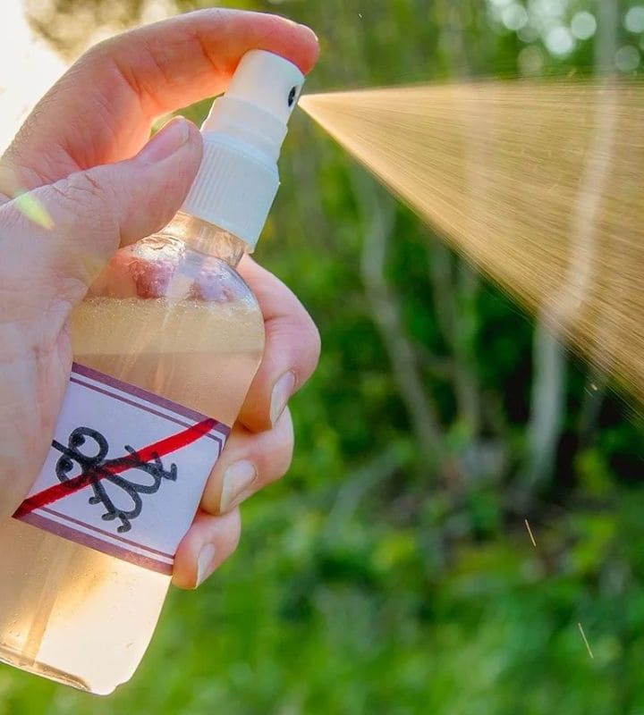 Homemade Mosquito Repellent That Works Effectively