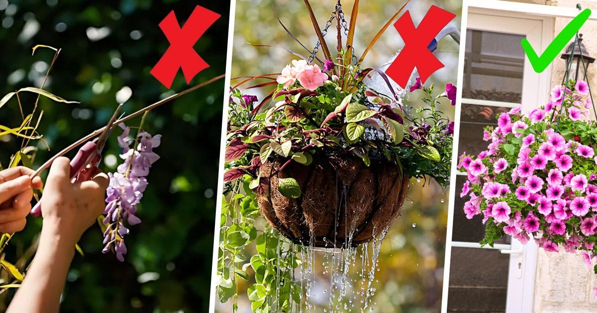 Follow These Tips to Keep Your Hanging Flowers Blooming All Summer