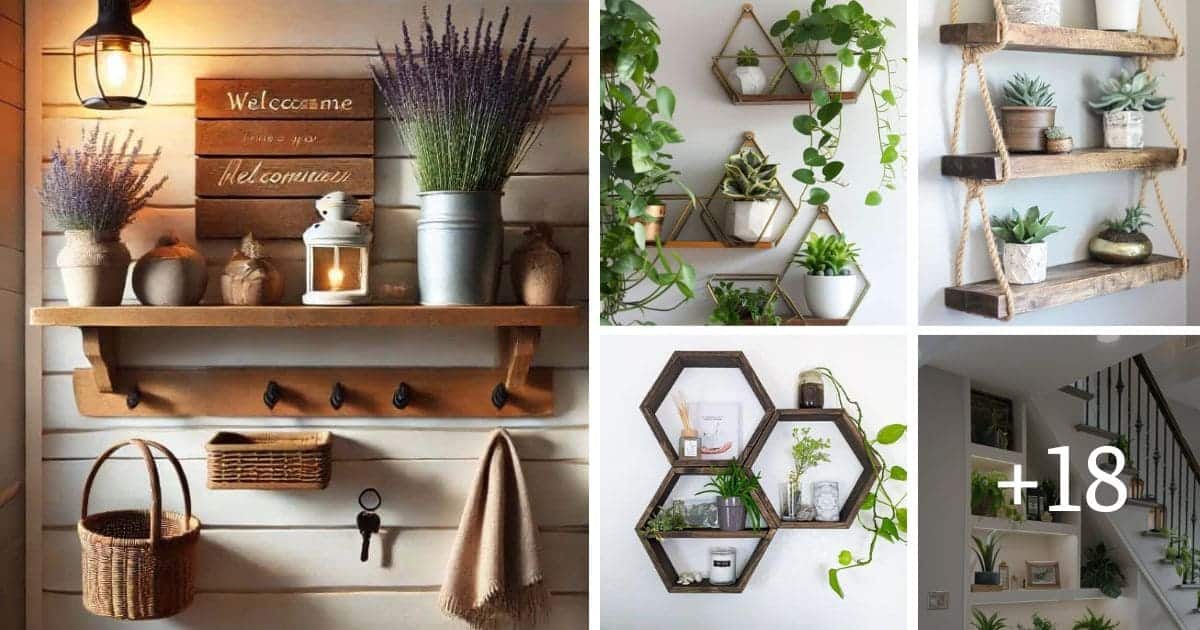 The 22 Best Plant Wall Shelf Ideas for Your Indoor Styling