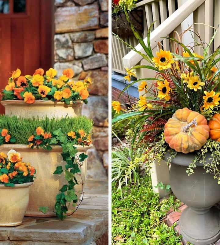 20 Stunning Fall Plants to Elevate Your Pots This Season