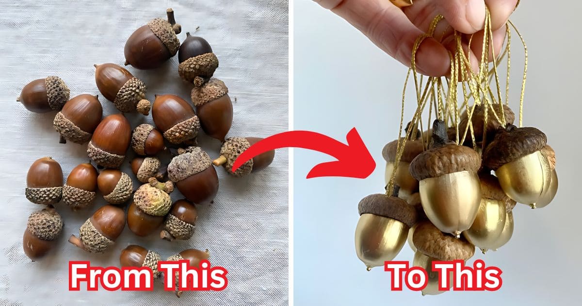 6 Simple Steps to Preserve Acorns for Fall Decor