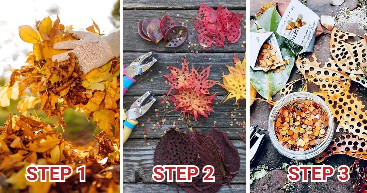 Crafting Homemade Confetti from Leaves in Just 3 Steps