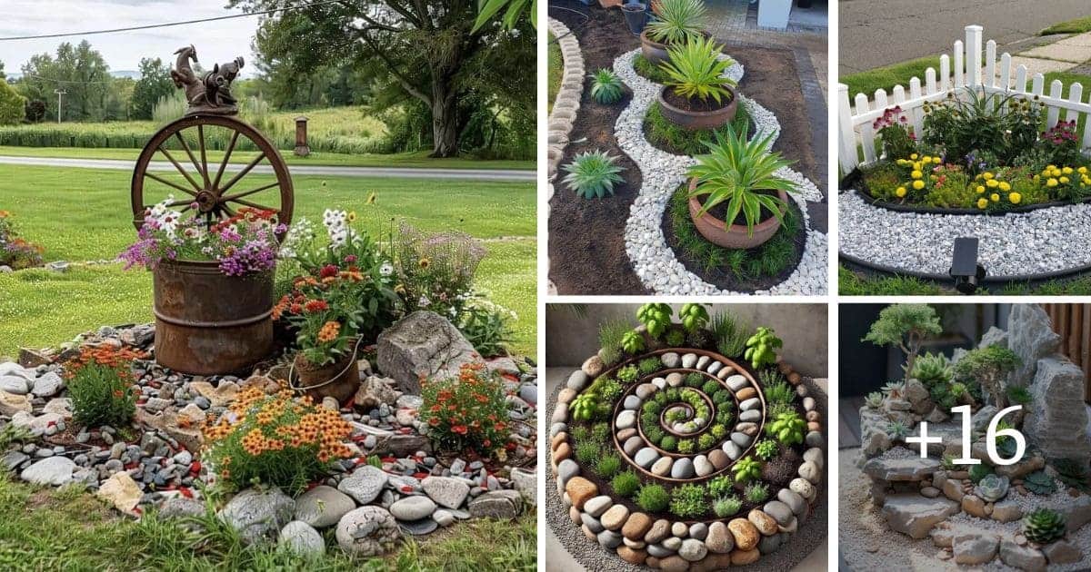 Top 20 Stunning Mini Rock Gardens You’ll Love