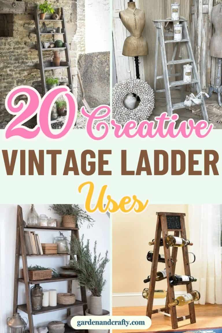 20 Brilliantl Ways to Repurpose Vintage Ladders for Home Decor