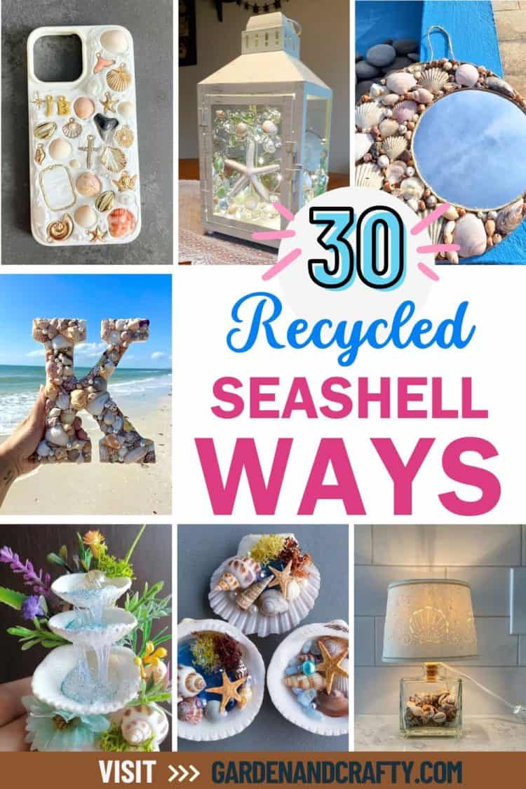 30 Brilliantly Creative Ways to Reuse Seashells Instead of Throwing ...
