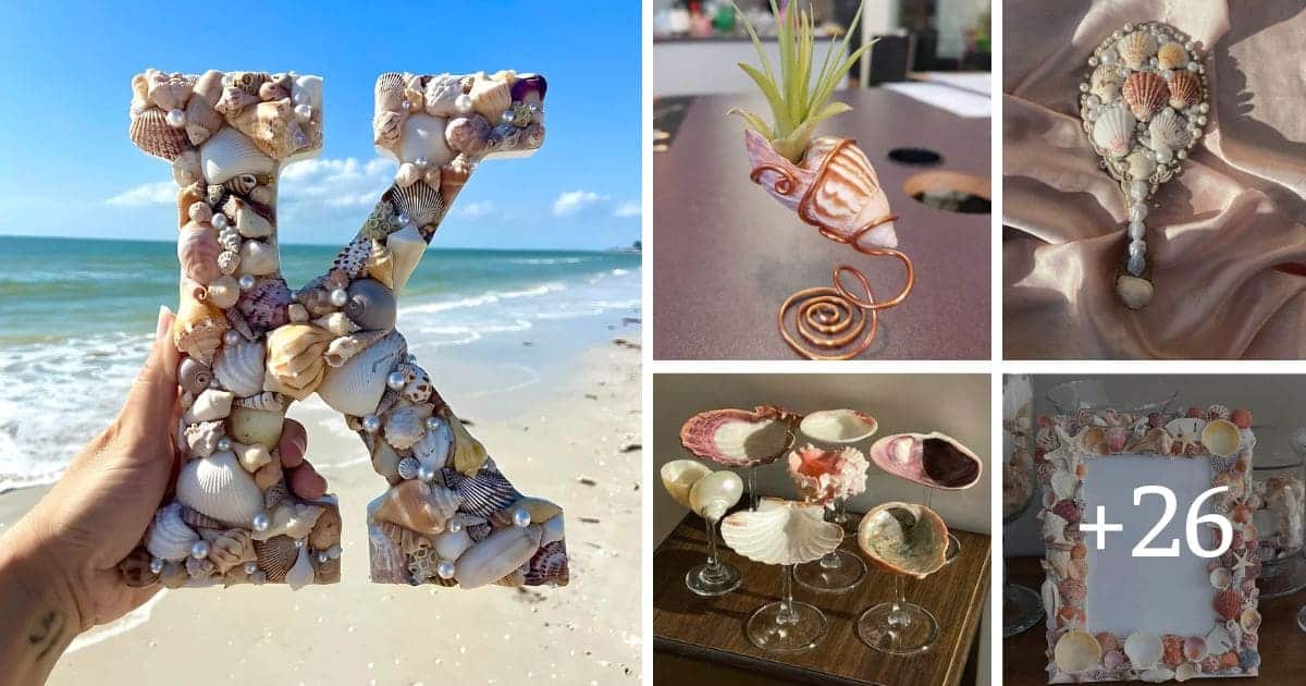 30 Brilliantly Creative Ways to Reuse Seashells Instead of Throwing ...