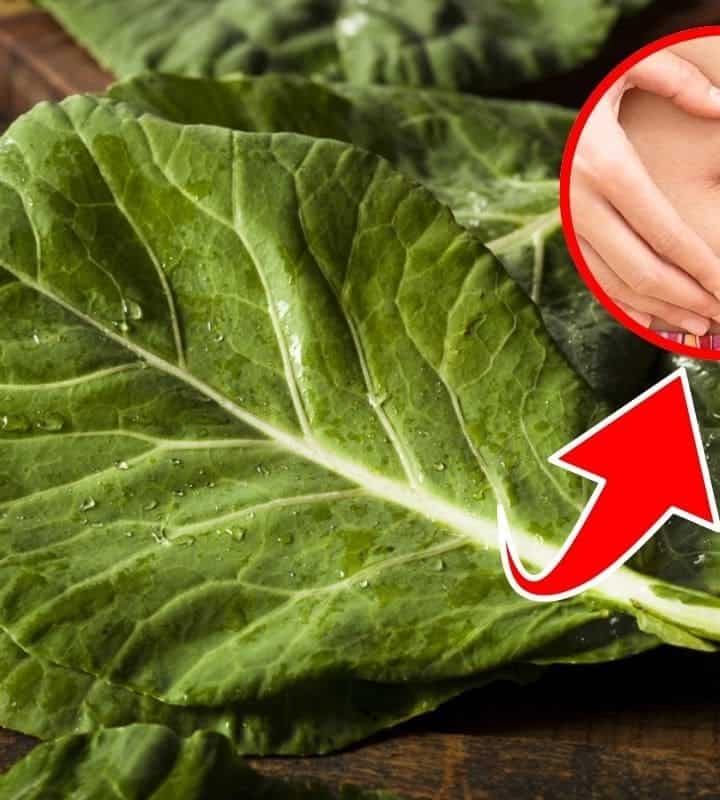 7 Amazing Health Benefits of Collard Greens You Can’t Ignore