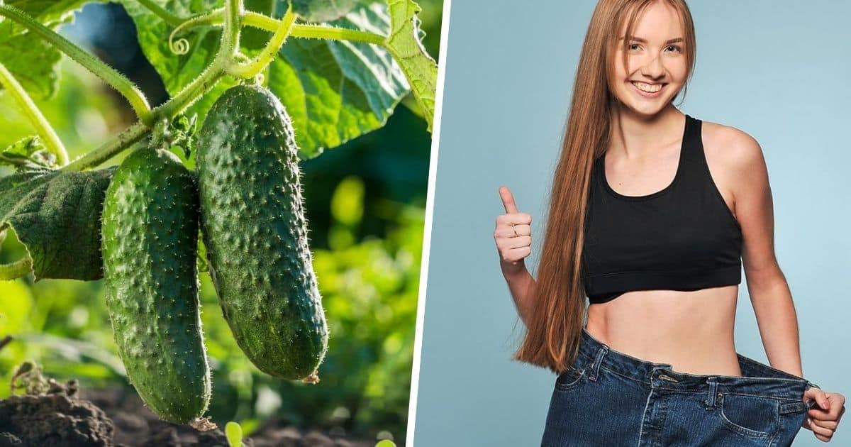 7 Refreshing Health Benefits of Cucumbers You’ll Love