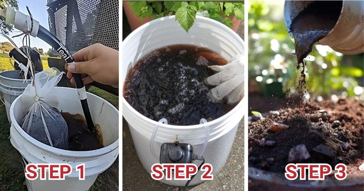 How to Make The Best Homemade Compost Tea Fast And Effectively