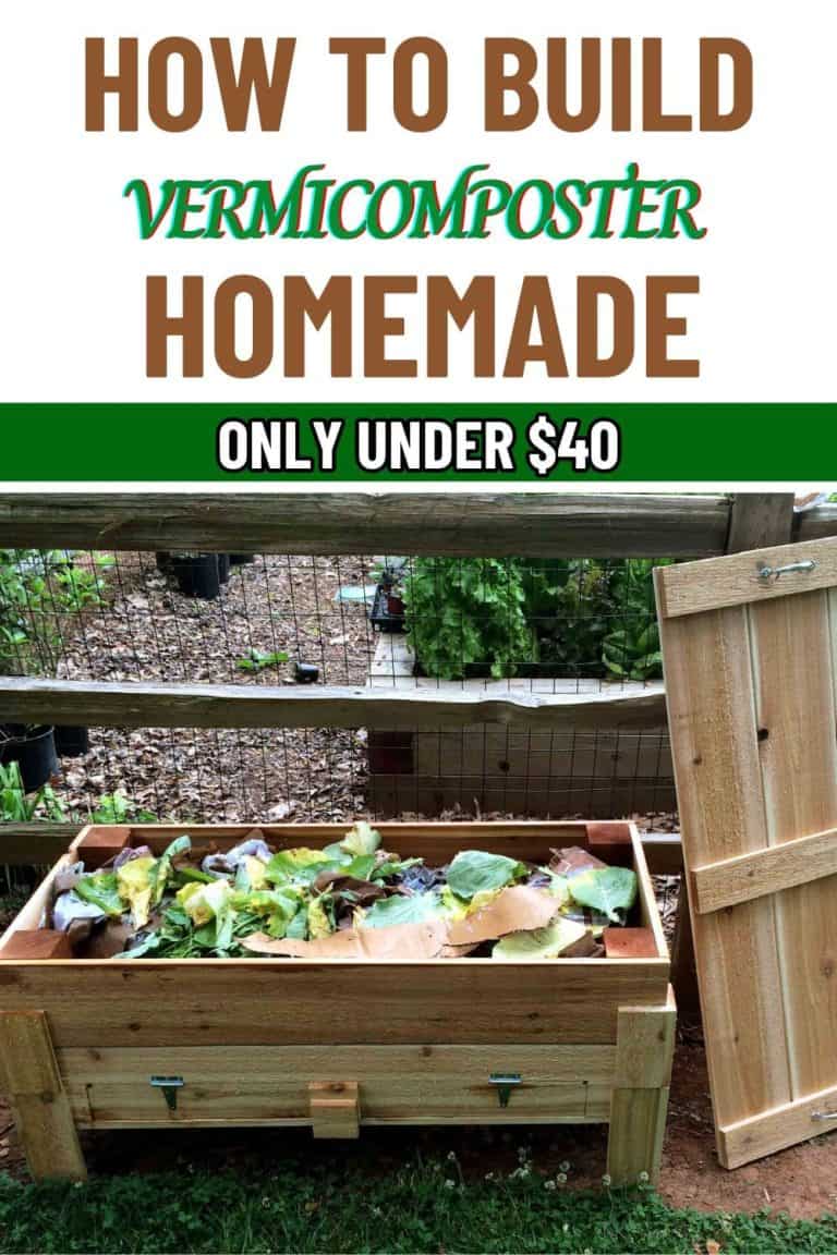 How to Build a Homemade Vermicomposter: A Step-by-Step Guide for Beginners