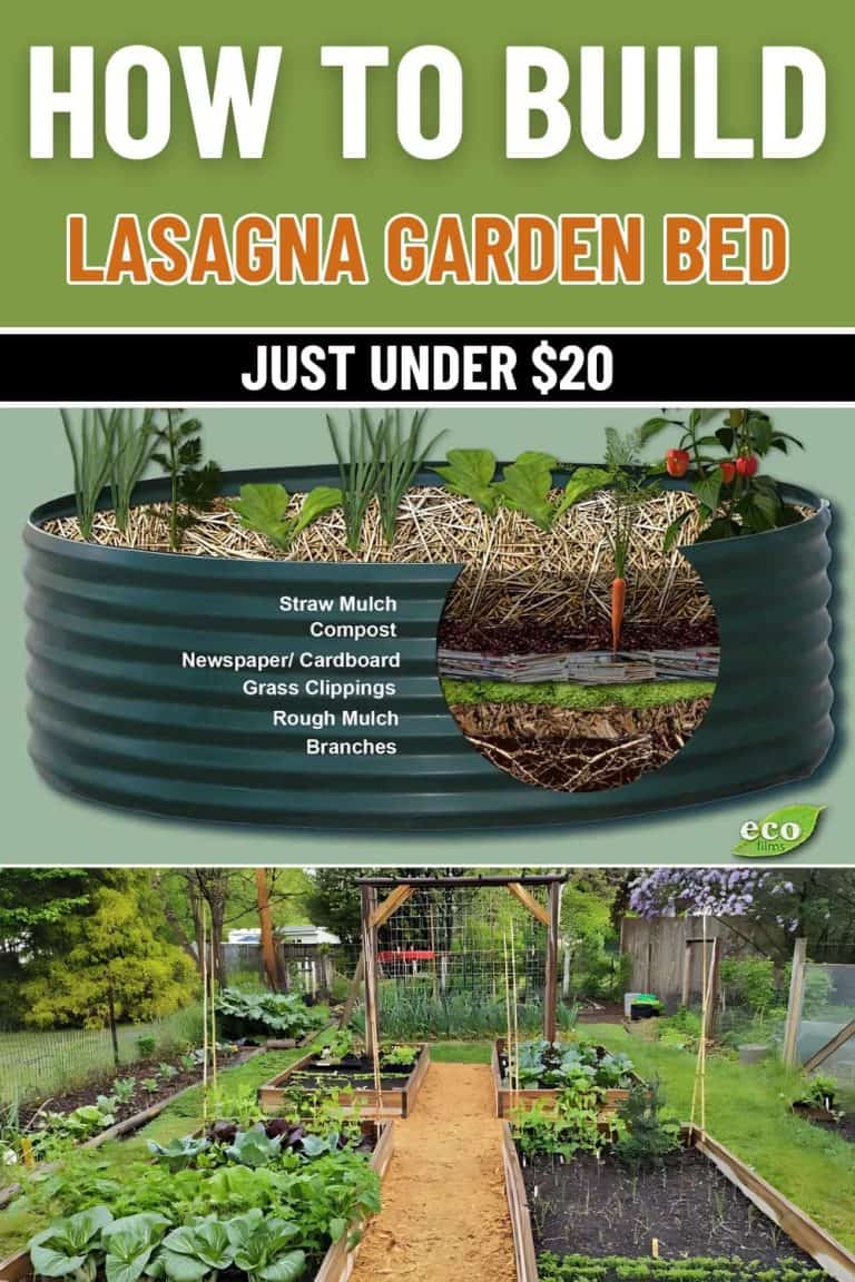 How to Build a Lasagna Garden Bed: A Simple Guide for Gardeners