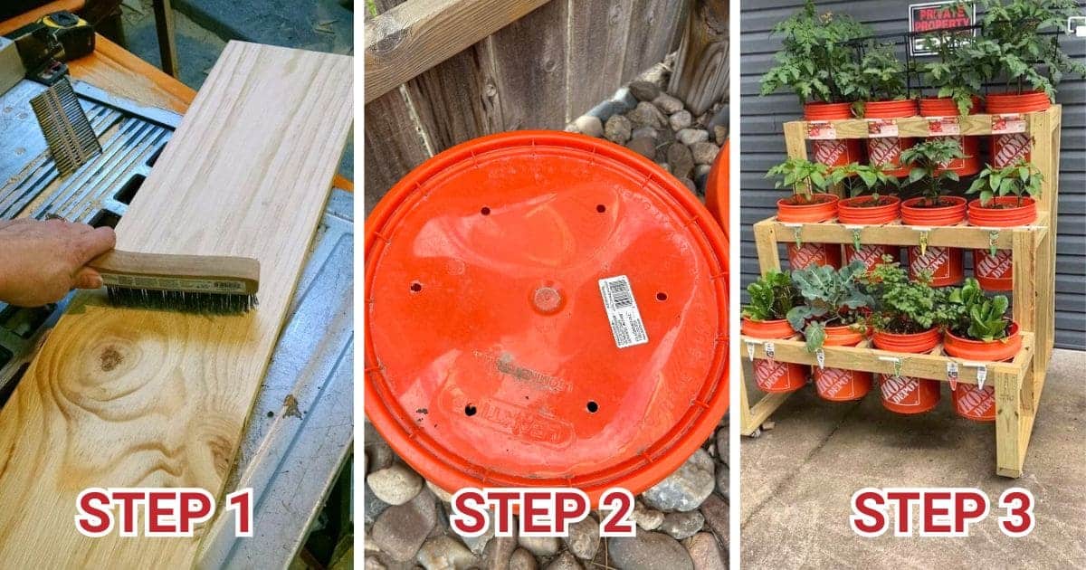 A Step-by-Step Guide on DIY Bucket Garden for Small Spaces